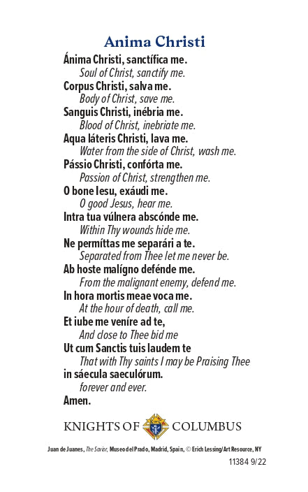 Anima Christi – Shop Catholic Info