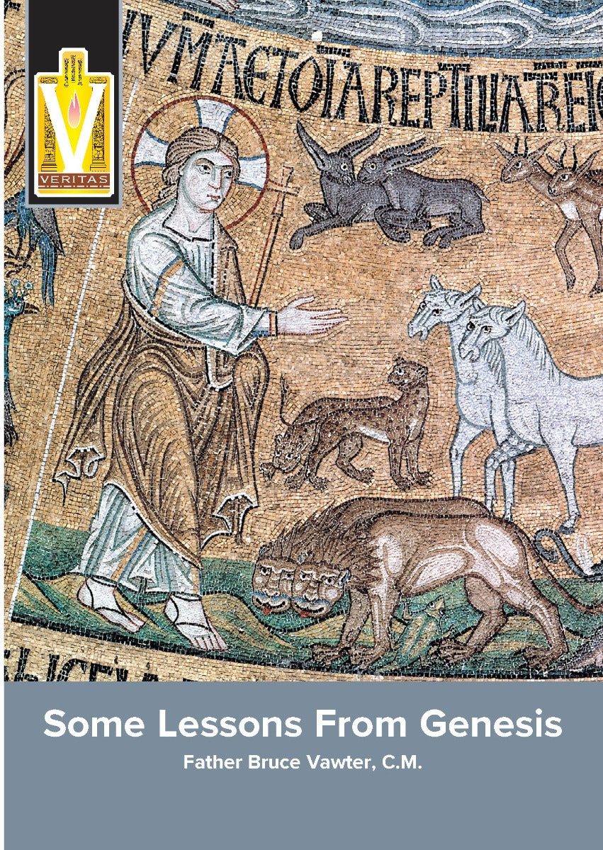 Some Lessons From Genesis – Shop Catholic Info