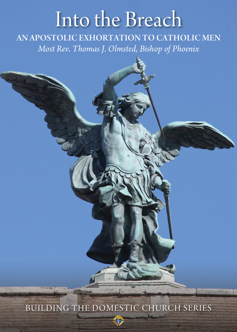 Into the Breach Building the Domestic Church – Shop Catholic Info