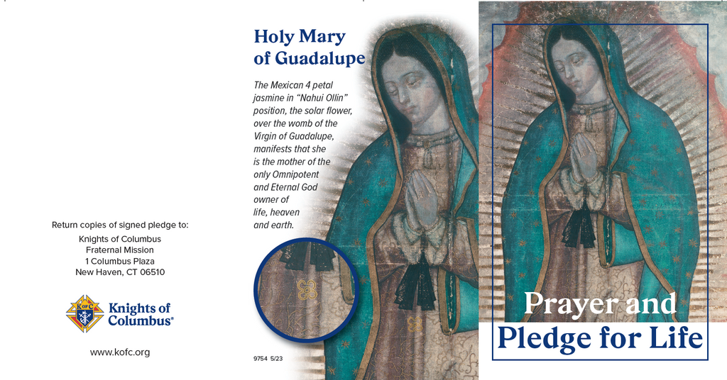 Lady of Guadalupe Pledge Card – Shop Catholic Info